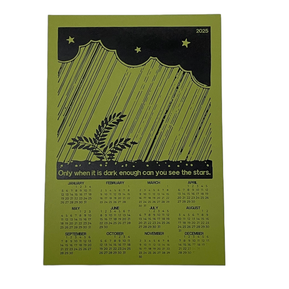 2025 Wall Calendar - See the Stars – badknees