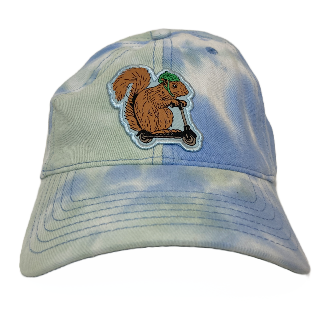 Squirrel on a Bird Cap - Blue Slushy – badknees