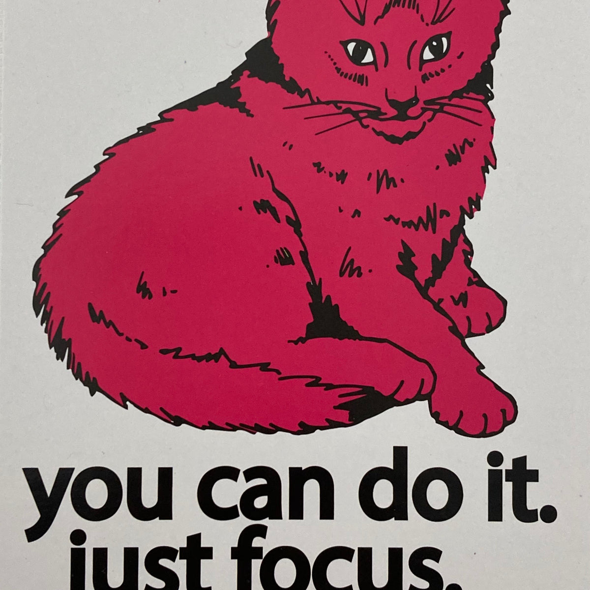 Focus Cat Postcard – badknees